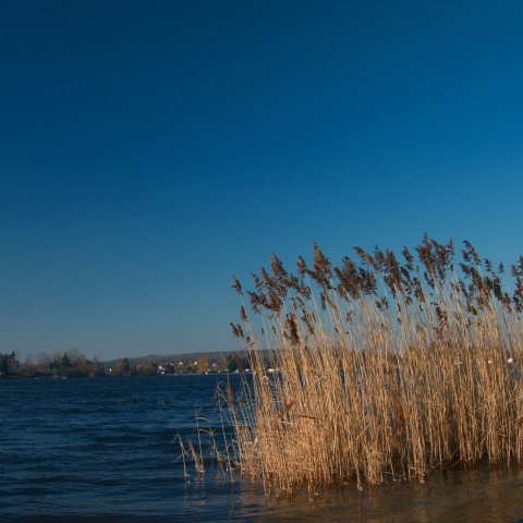 Stadtteile | Hungen die Schäferstadt